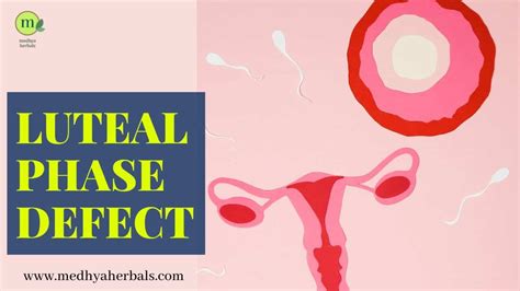 8 Best Natural Ways To Overcome Luteal Phase Defect Medhya Herbals