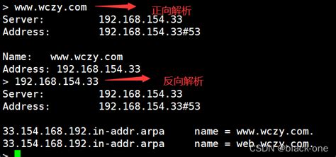 linux dns服务器配置 linux配置dns服务器 csdn博客