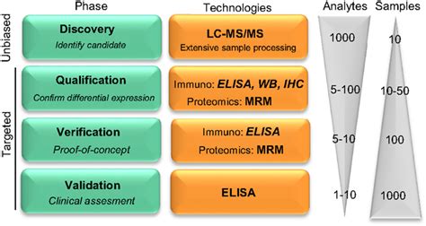 Pipeline Reflecting The Development On Novel Protein Biomarker