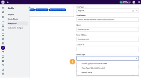 salesforce record types in automations knowledge base