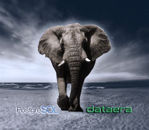 Home Postgresql Administration Home Postgresql Administration