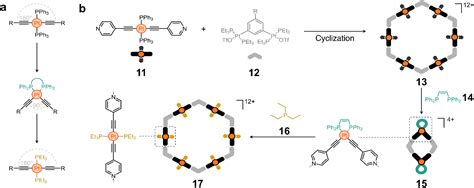 Responsive Macrocyclic And Supramolecular Structures Powered By Platinum Chemical Science Rsc