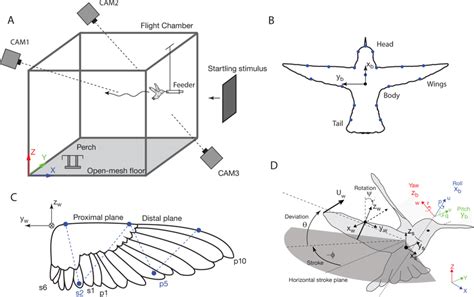 Experiment Setup And Definition Of Kinematics A Experiments Were