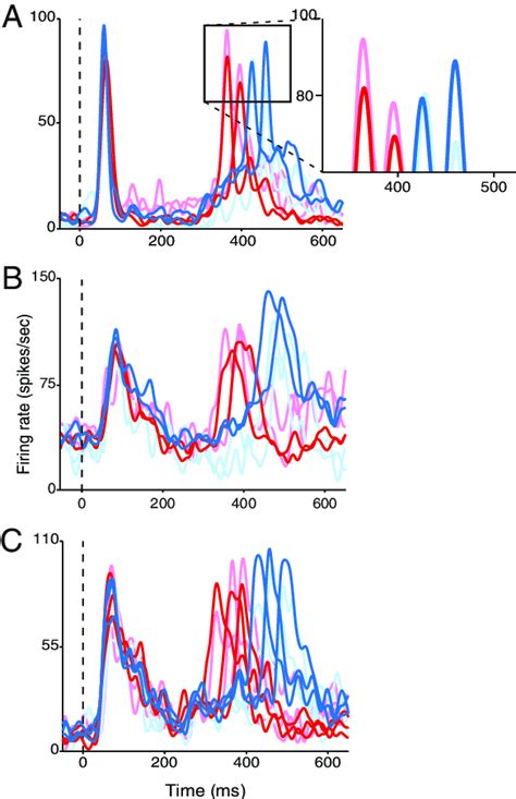 Responses Of Three Single Fef Neurons To Short Red And Long Blue