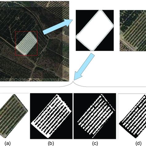 Generating Binary Maps From The Satellite Maps A Satellite View Of