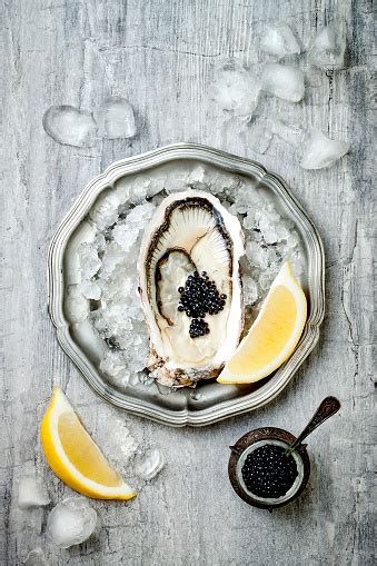 검은 철갑 상어 캐 비어와 회색 콘크리트 바탕에 금속 접시에 얼음에 레몬 굴을 열었습니다 평면도 평평 하다 복사 공간 0명에 대한 스톡 사진 및 기타 이미지 Istock