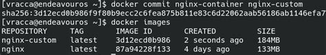Build And Export Custom Images Docker Commit Docker Build And Docker Save Blog By Vincenzo Racca