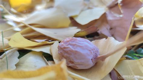 【git】更新版本git更新到最新版本 Csdn博客