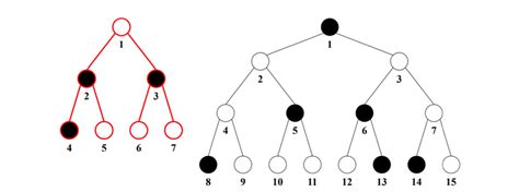 Interview Question Trees Given A Complete Binary Chegg