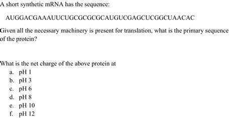 Solved A Short Synthetic MRNA Has The Sequence Given All Chegg Com