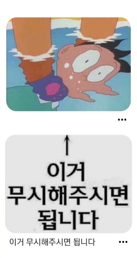 밈짤에 있는 Sunkyoung Jo님의 핀 웃긴 밈 웃긴 표지판 웃긴