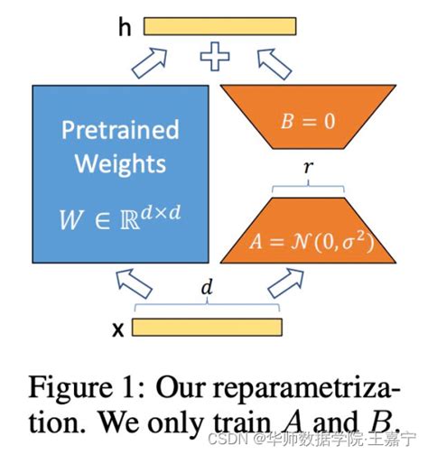 详谈大模型训练和推理优化技术 大模型训练和推理的区别 Csdn博客