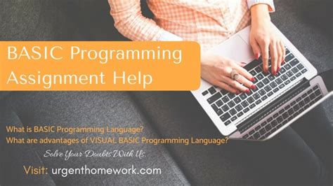 basic programming homework help basic programming assignment help