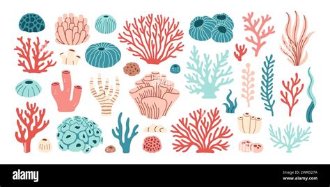 Coral Set Ocean Plants Underwater Flora Seaweed Aquatic Plant