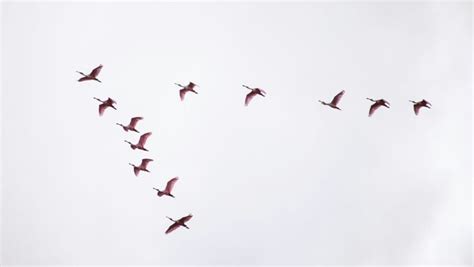 Aws App Modernization Proven Strategies And Best Practices