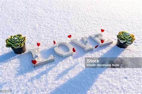 고립 된 단어의 근접 촬영 사랑 눈 속에서 나무 조각에서 레드 심장 장식 주위 흰색 배경으로 맑은 겨울 날에개념의 사랑 행복과 기쁨 발렌타인 데이에 감정에 대한 스톡 사진
