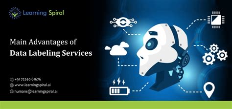 Advantages Of Data Labeling Services
