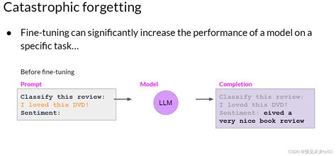 大语言模型生成式ai学习笔记——2 13llm指令微调—— 单任务微调 Csdn博客