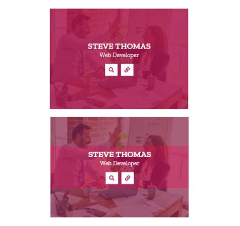 395 Css Image Hover Effects With Text Animation Example