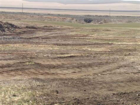 Дархан Уул аймгийн Хонгор сумын Зулзага багийн Шийрийн бригадын хогыг цэвэрлэв