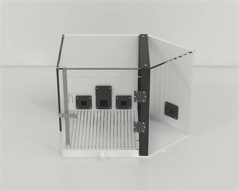 Two Choice Social Decision Making Task Maze Engineers