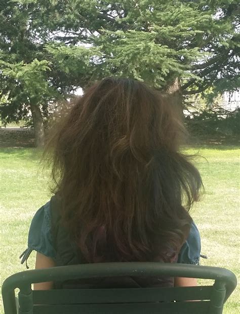 Continental Divide Trail From Mexican Border To Lordsburg Nm Gail Storey