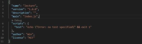 Reactjs What Is Debug In Packagejson File Stack Overflow