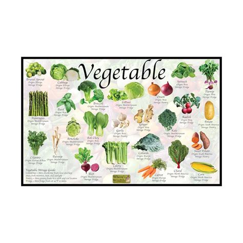 Vegetable Poster Culinary Poster Providing Origin Best Storage And
