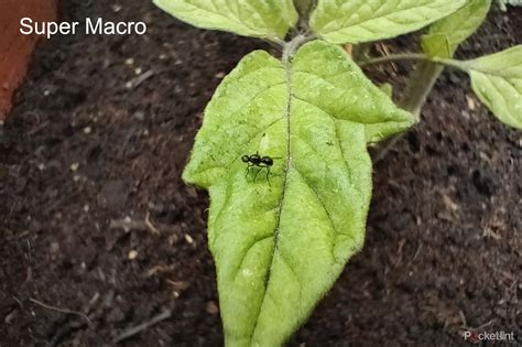 OnePlus Nord Review Who Needs A Pricey Flagship Anyway