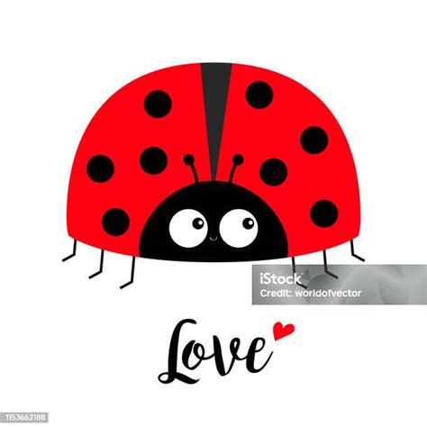 레드 레이디 버그 무당벌레 아이콘입니다 마음으로 인사말 카드를 사랑 해요 귀여운 만화 귀 엽 다 재미 아기 캐릭터 해피 발렌타인 데이 평면 디자인입니다 흰색 배경입니다 0