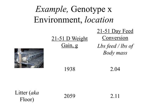 Ppt Heterosis Genotype X Environment Interaction Powerpoint Presentation Id111311