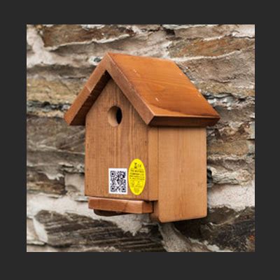 Apex Nest Box Mm The Birds Bistro