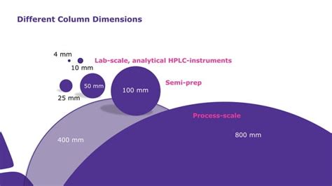 Process Scale Chromatography PDF