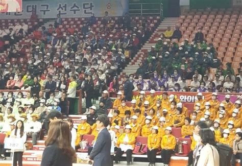 염증 햇볕에 탔을 때 뉴스트림