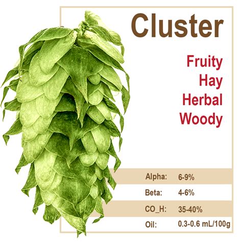 Cluster Hops Small Batch Brewtique
