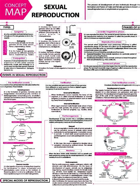 Sexual Reproduction Concept Map Pdf Fertilisation Sexual Reproduction