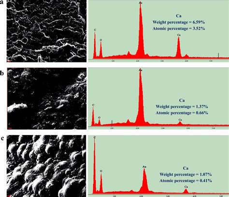 Scanning Electron Microscopy Energy Dispersive X Ray Analysis Of The Download Scientific