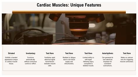 Cardiac Muscles Unique Features Muscles Interactive Ppt Powerpoint Acp Ppt Presentation