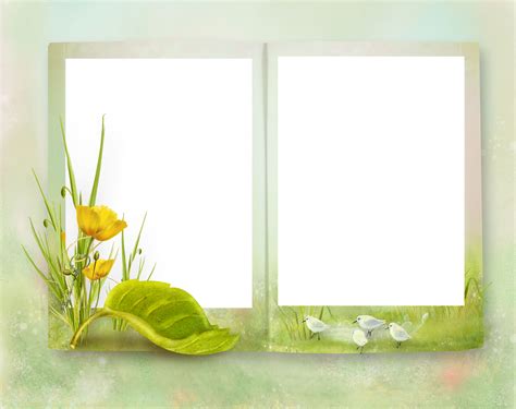 Рамки окна и книги