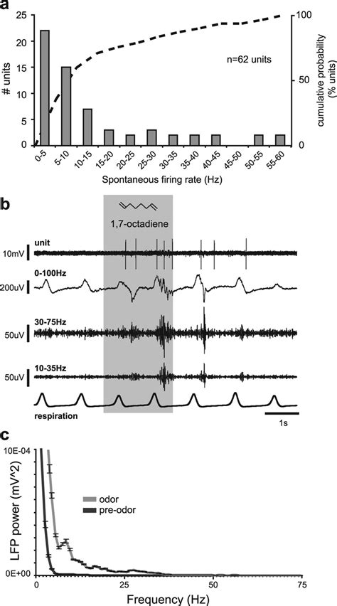 Odorant Presentation Evokes Neural Responses In The Tubercle A Download Scientific Diagram