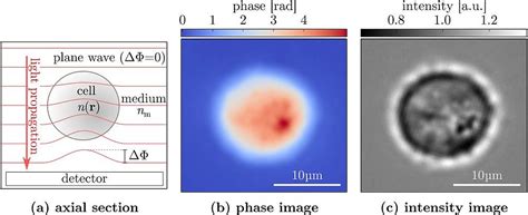 Phase Imaging And Tomography