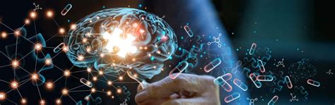 Pqq Boosts Brain Function In Older And Younger Generations