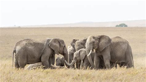 Shiv Iyer On Linkedin How To Partition A Large Table In Postgresql