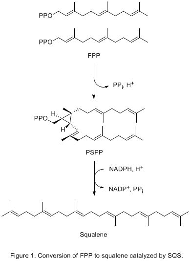 Farnesyl Diphosphate Farnesyltransferase Alchetron The Free Social