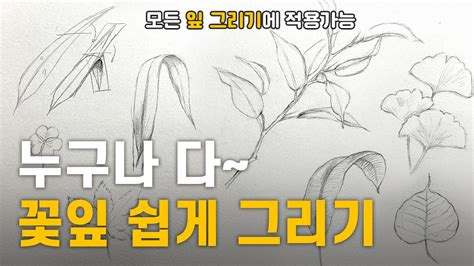 잎 그리기 쉽게 스케치하는 비법 Youtube