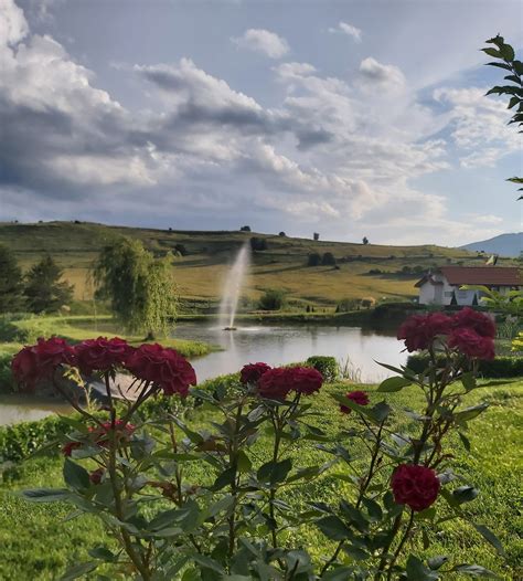 Община Ихтиман Община Ихтиман Added A New Photo