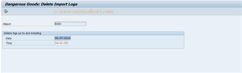 Dgp8 Sap Tcode Delete Import Logs