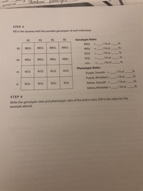 Solved Investigation Patterns Of Inheritance Complete Chegg