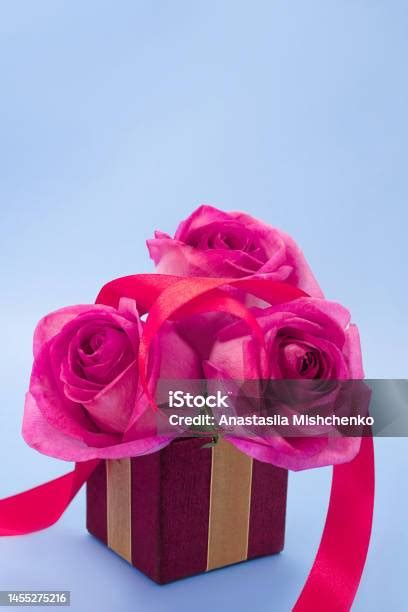 파란색 배경에 분홍색 장미가 있는 상자 세로 생일 2 월 14 일 국제 여성 어머니의 날 및 3 월 8 일 복사 공간 Day 8