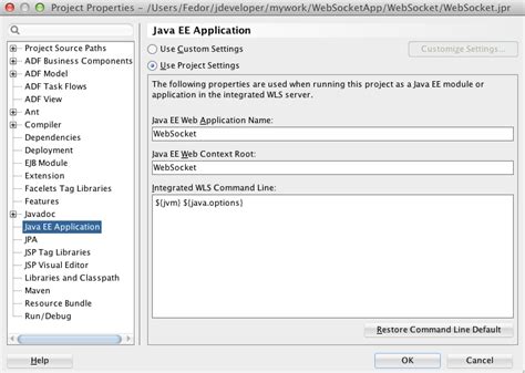 Using Java Api For Websockets In Jdeveloper 1213